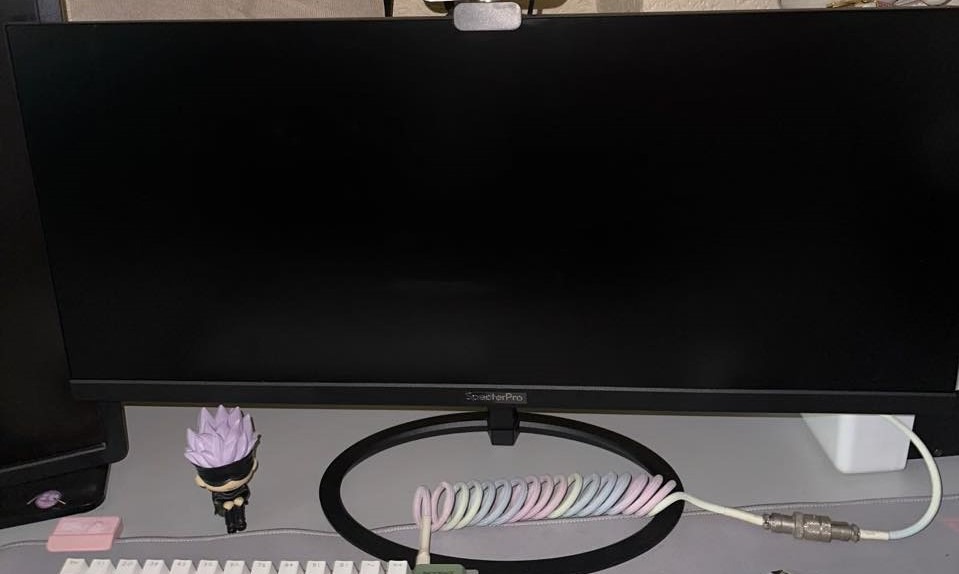 29" Specter Pro 200hz monitor for sale on Carousell