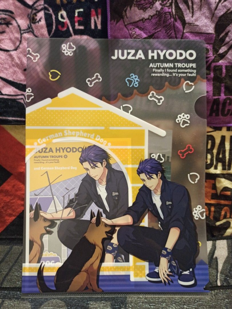 A3 Juza Hyodo Clear File Folder, Hobbies & Toys, Collectibles ...