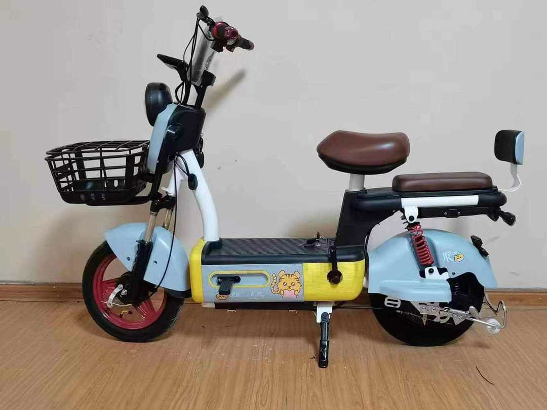 Avia beta 2 wheels ebike on Carousell