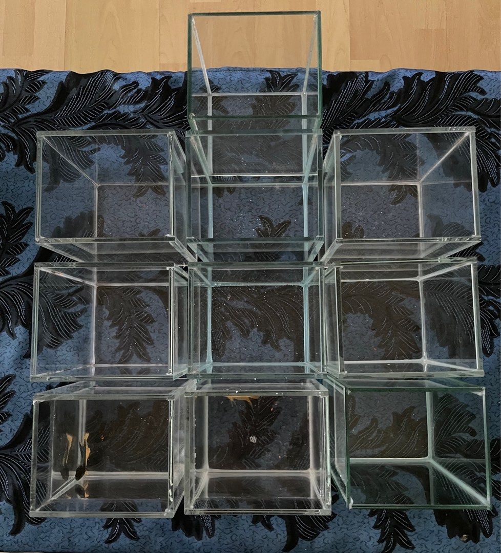 Betta Fish & Glass Tanks, Pet Supplies, Homes & Other Pet Accessories ...