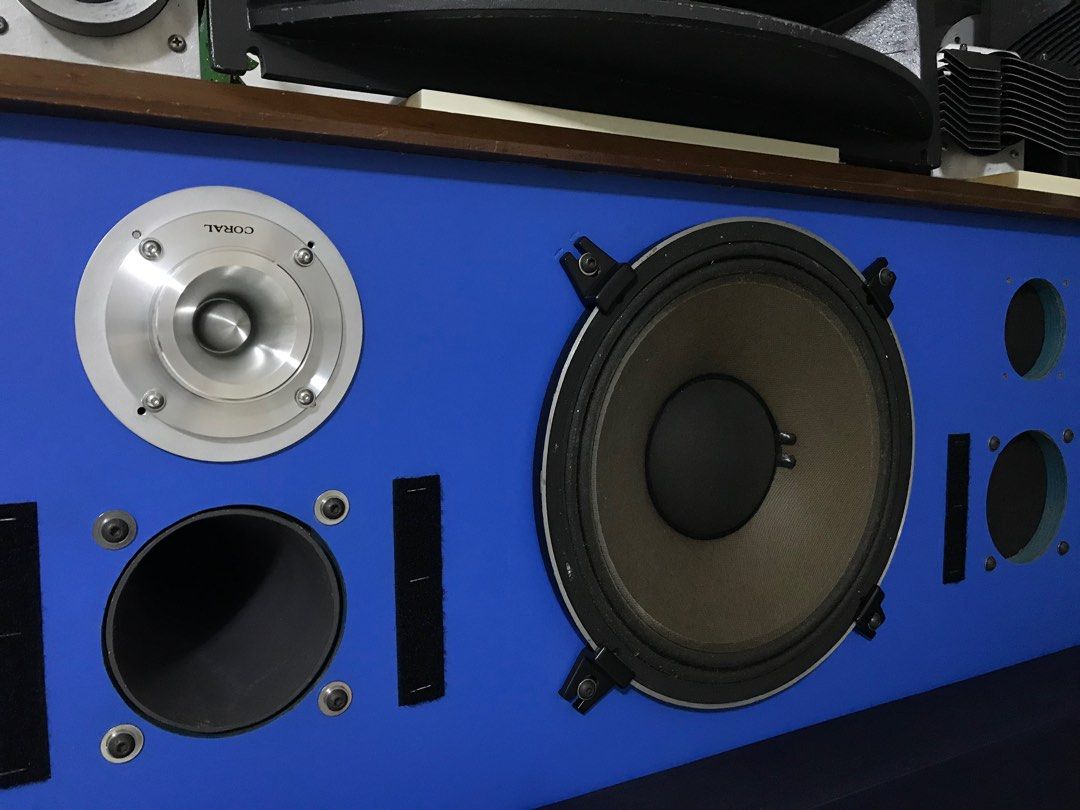 Coral speaker H105 super tweeter, Audio, Soundbars, Speakers ...