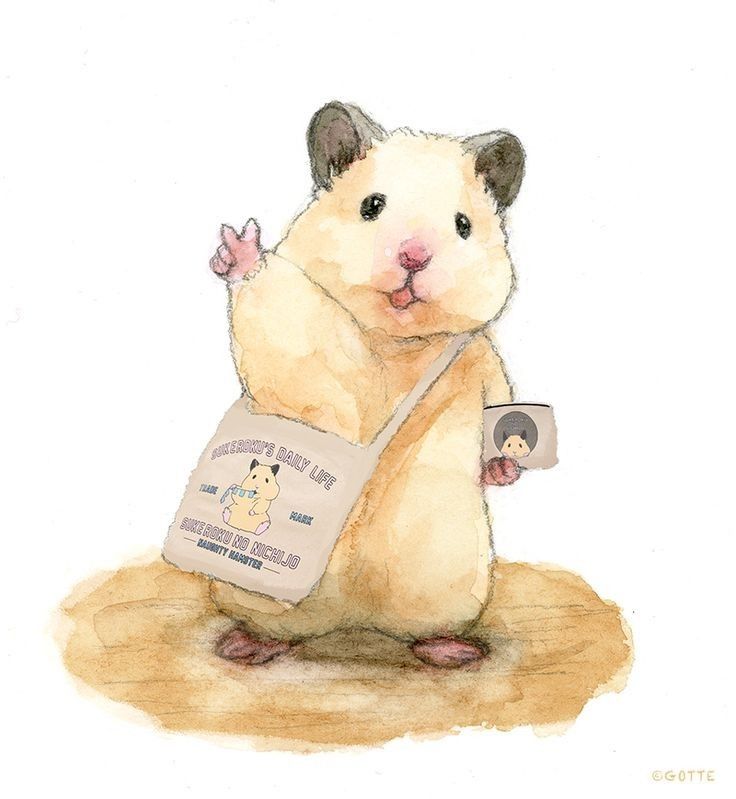 Gotte Hamster Plushies, Hobbies & Toys, Toys & Games on Carousell