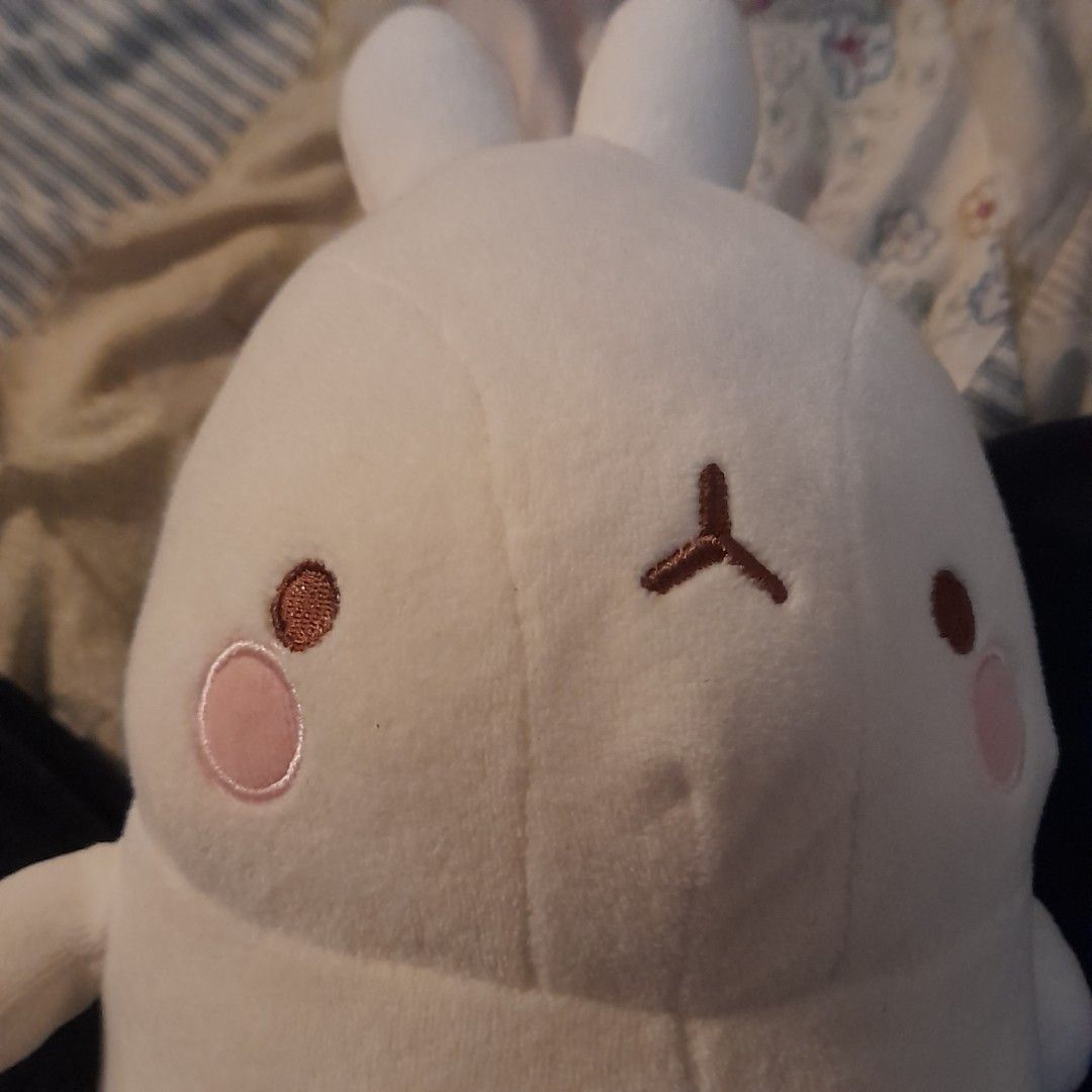 Molang plushie, Hobbies & Toys, Toys & Games on Carousell