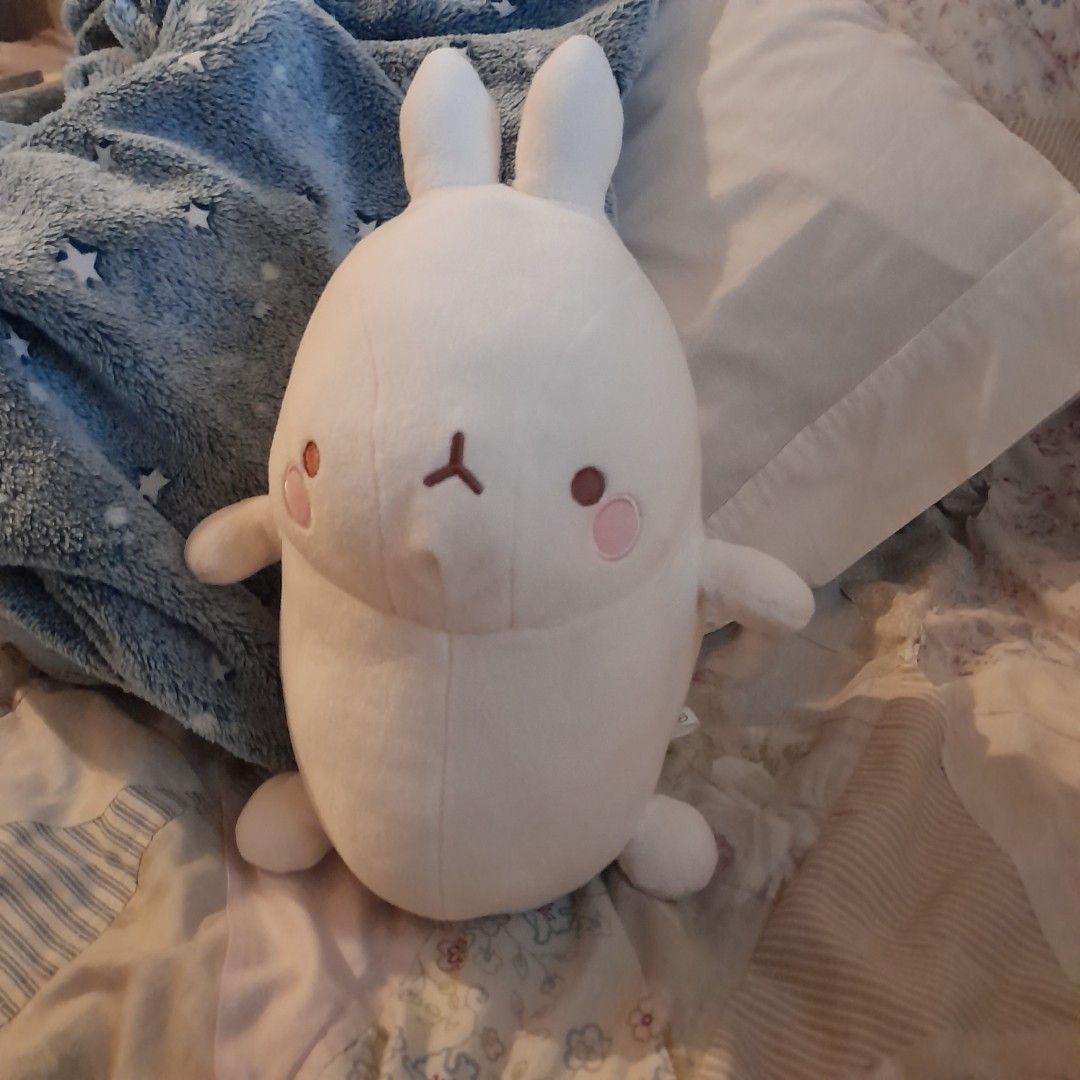 Molang plushie, Hobbies & Toys, Toys & Games on Carousell