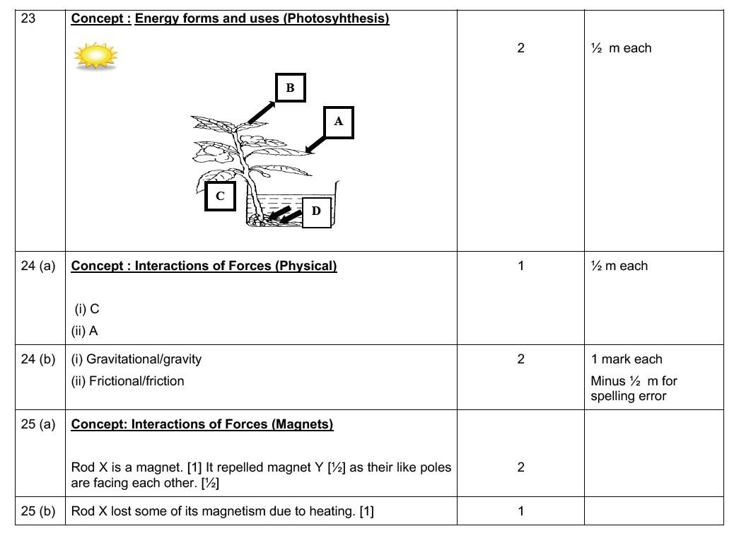 P6 Foundation Math and Science Prelim Exam Paper / Primary 6 Foundation ...