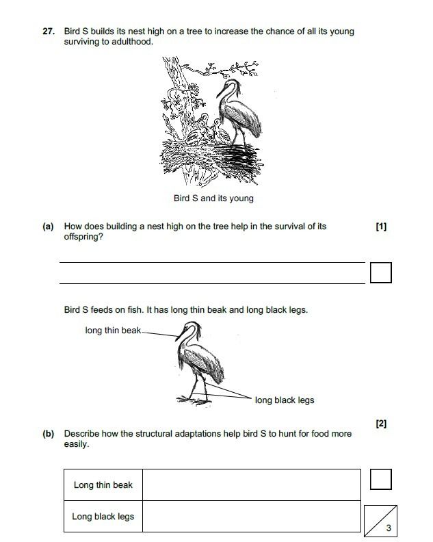 P6 Foundation Math and Science Prelim Exam Paper / Primary 6 Foundation ...