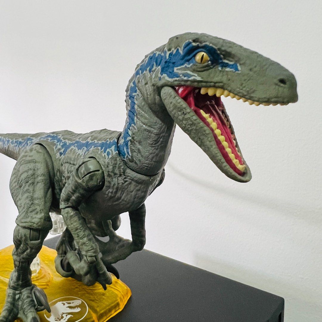 [RARE] Jurassic World Amber Collection Velociraptor Blue, Hobbies ...