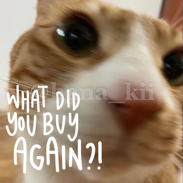 stray kids lee know soonie & doongie mailing stickers , Hobbies & Toys ...