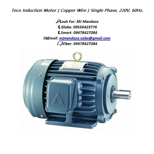 Teco Induction Motor ( Copper Wire ) Single Phase, 220V, 60Hz ...