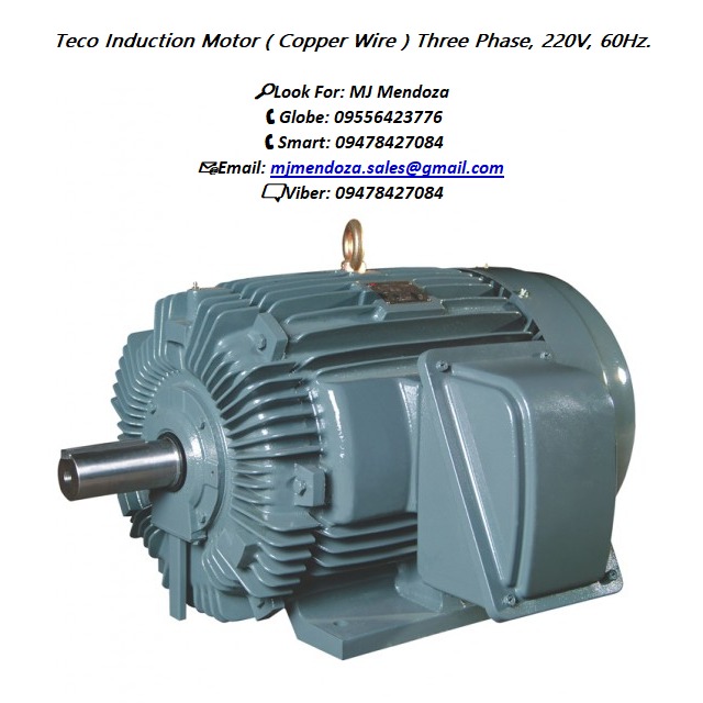 Teco Induction Motor ( Copper Wire ) Three Phase, 220V, 60Hz ...