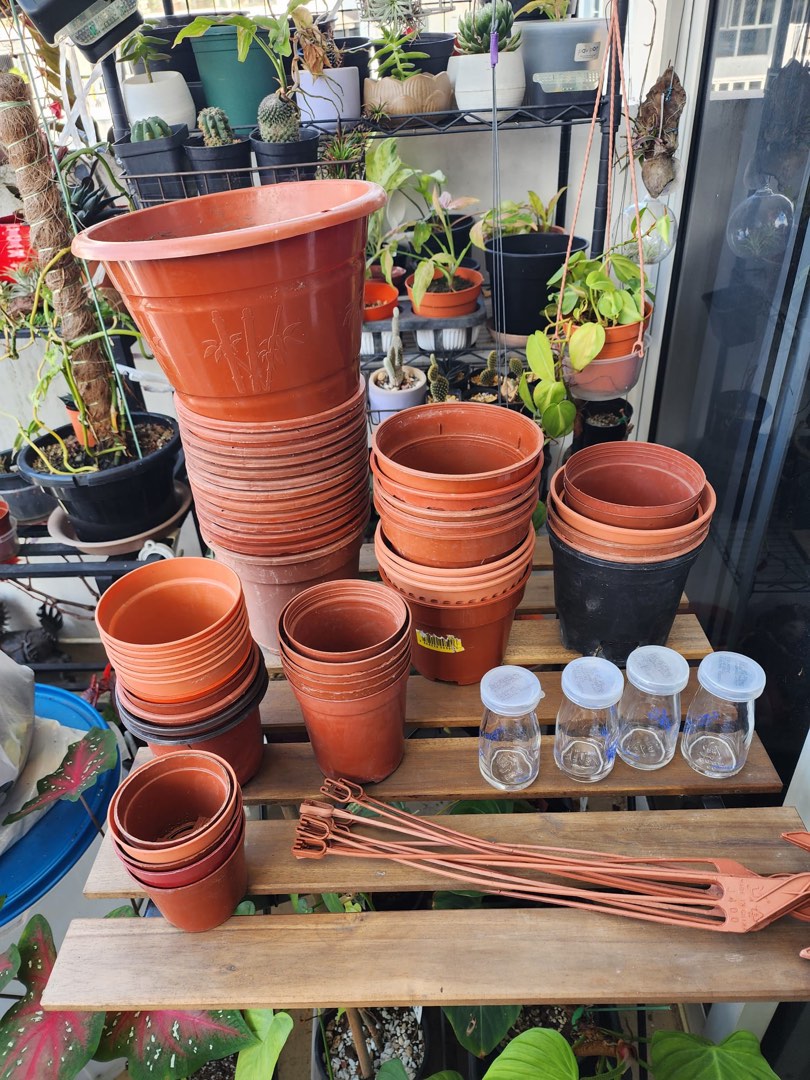Used Pots, Furniture & Home Living, Gardening, Pots & Planters on Carousell