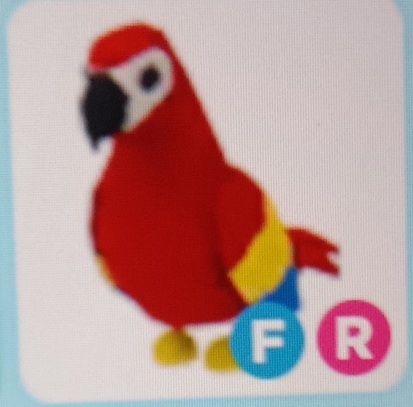 Adopt me pets parrot, Video Gaming, Gaming Accessories, In-Game ...