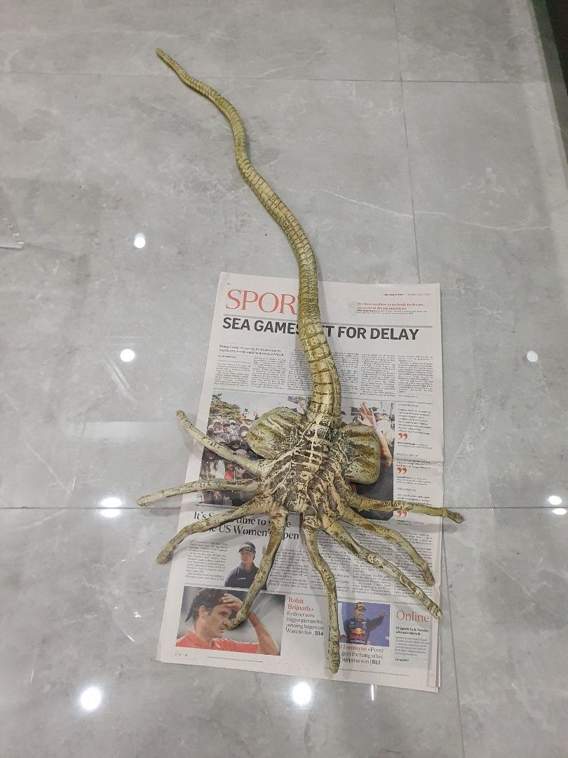 Alien Facehugger (life-sized), Hobbies & Toys, Memorabilia ...
