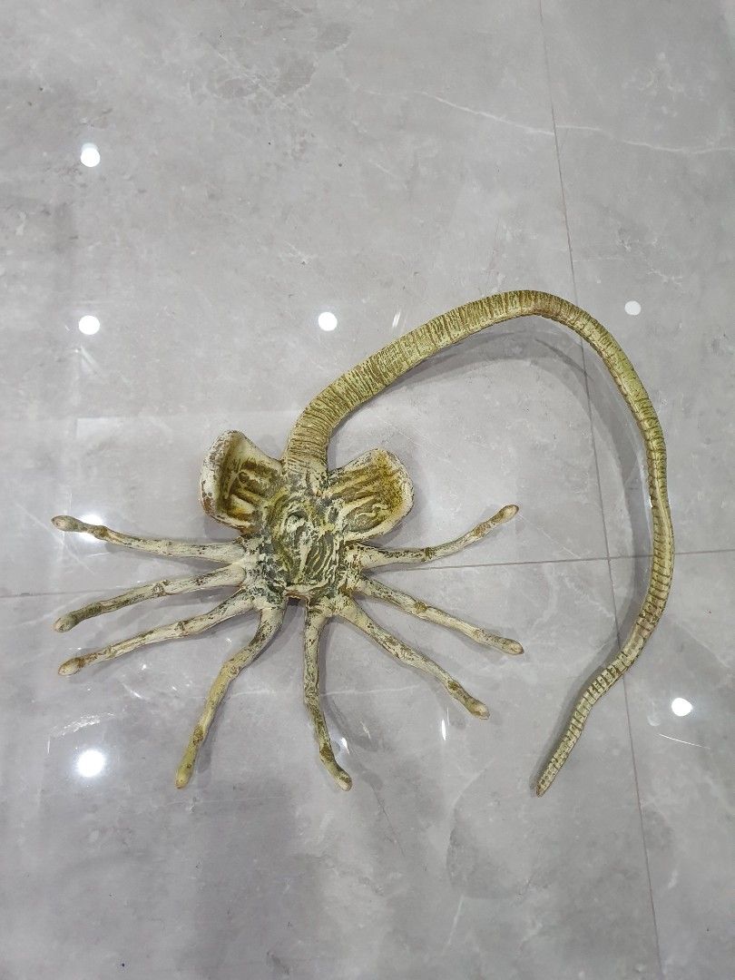 Alien Facehugger (life-sized), Hobbies & Toys, Memorabilia ...