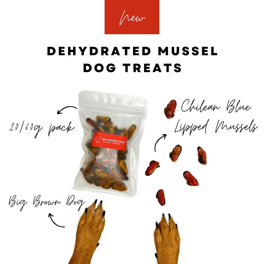 Dehydrated Blue Lipped Mussel Dog Treats, Pet Supplies, Pet Food on ...