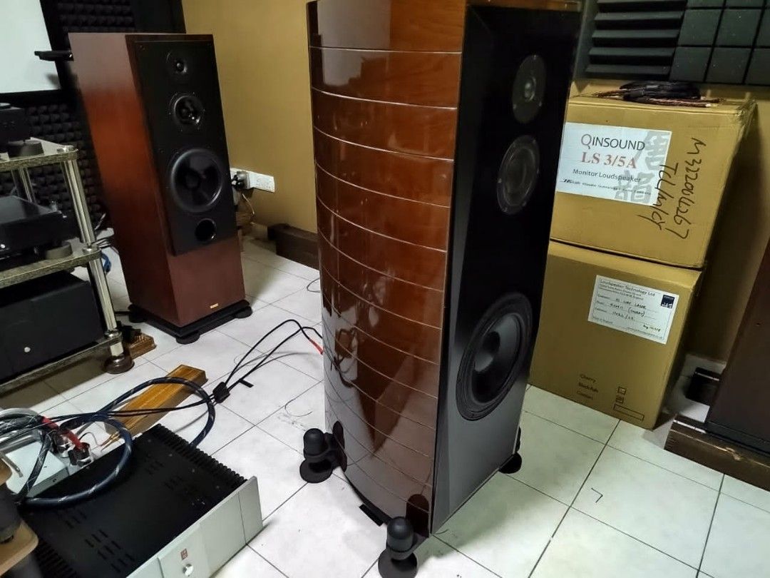 DYNAUDIO DIY 12 INCH SPEAKER, Audio, Soundbars, Speakers & Amplifiers ...