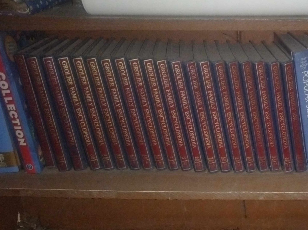 Grolier Family Encyclopedia complete set 1 to 20, Hobbies & Toys, Books ...