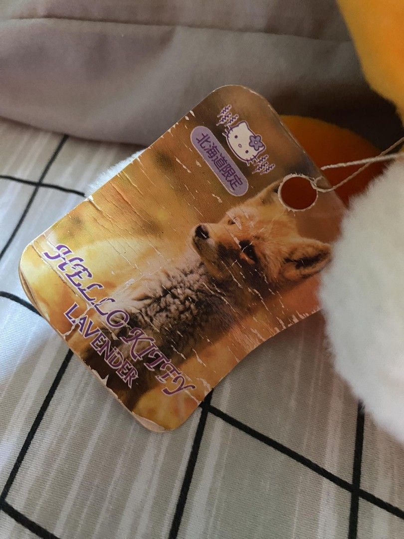 Hello Kitty Orange Fox on Carousell
