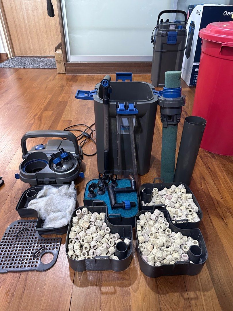 Oase Biomaster 350, Pet Supplies, Homes & Other Pet Accessories on ...