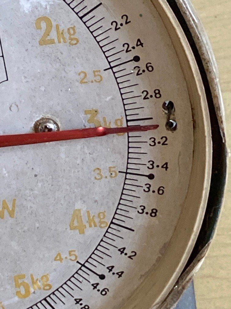 Raja Kayu log, Hobbies & Toys, Memorabilia & Collectibles, Religious ...