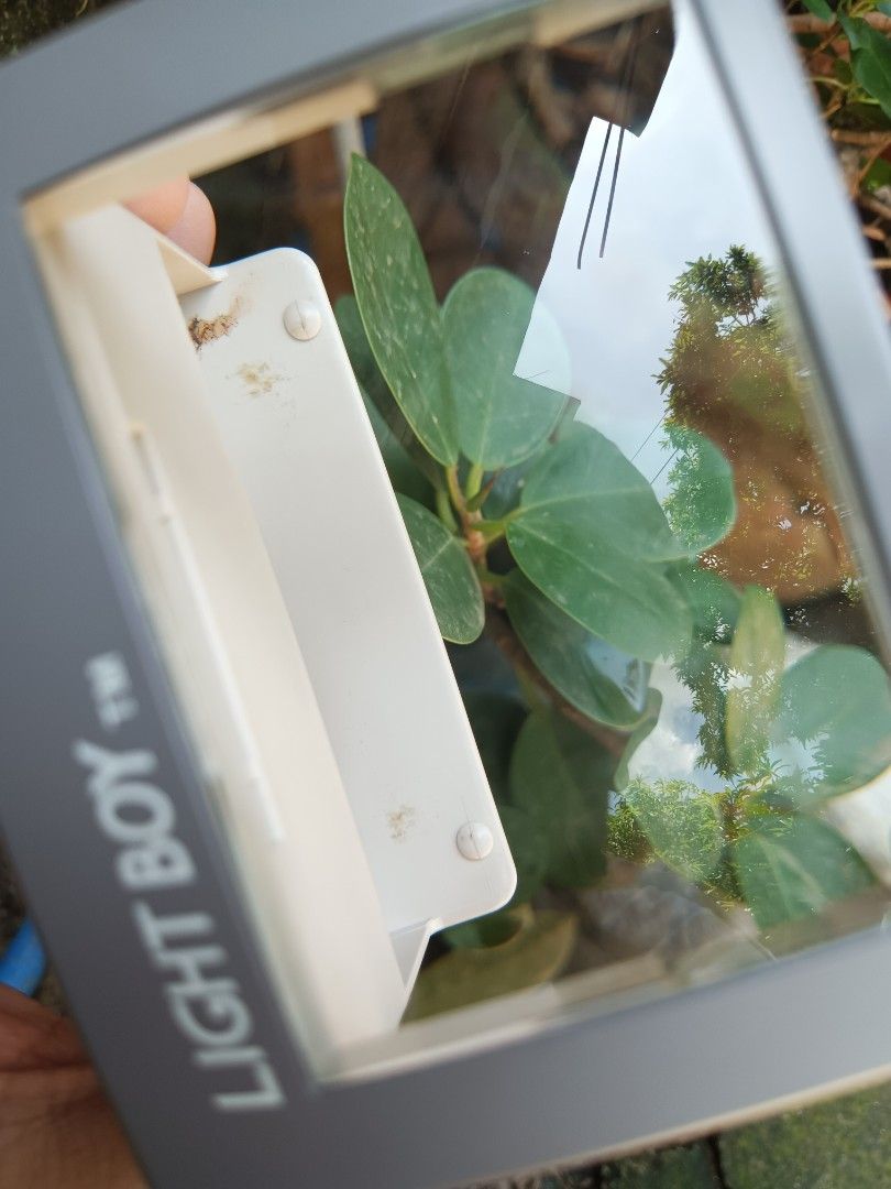 Vintage 1990 NINTENDO Game Boy Light magnifier attachment VLB-02 | Made ...