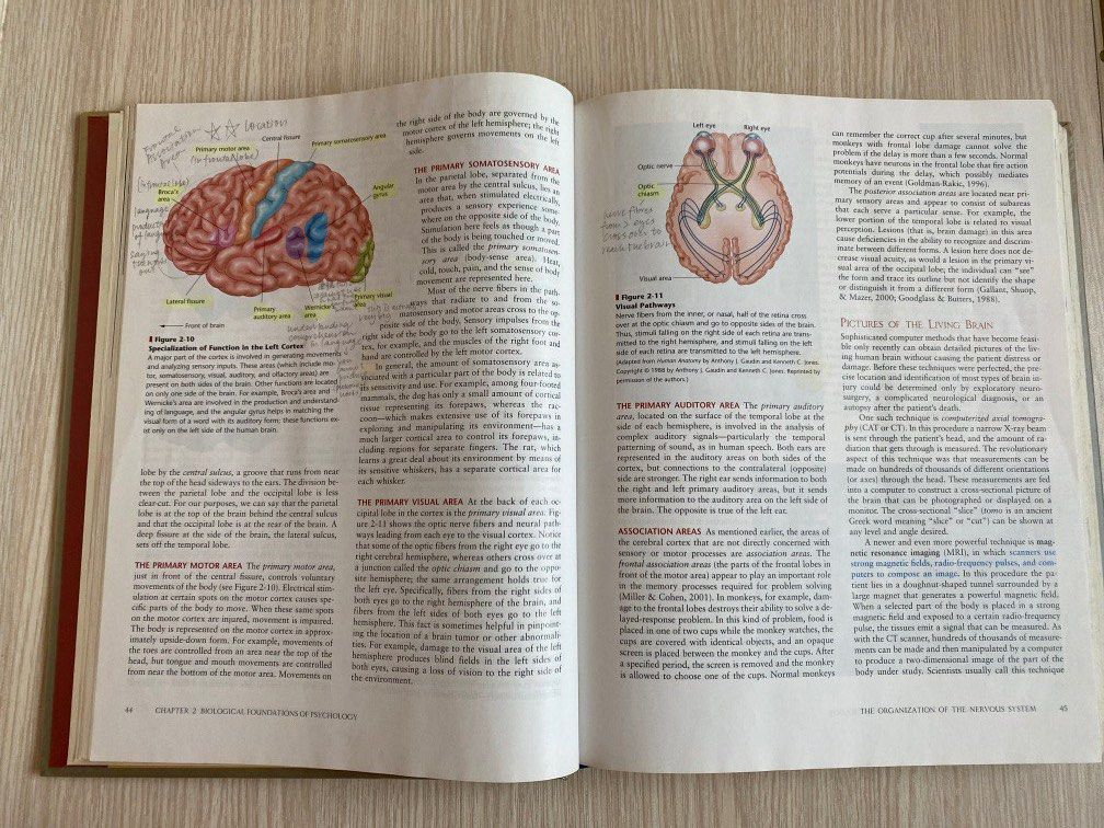 中學大學教科書: Introduction to Psychology (14th edition), 興趣及遊戲, 書本 & 文具, 教科書 ...