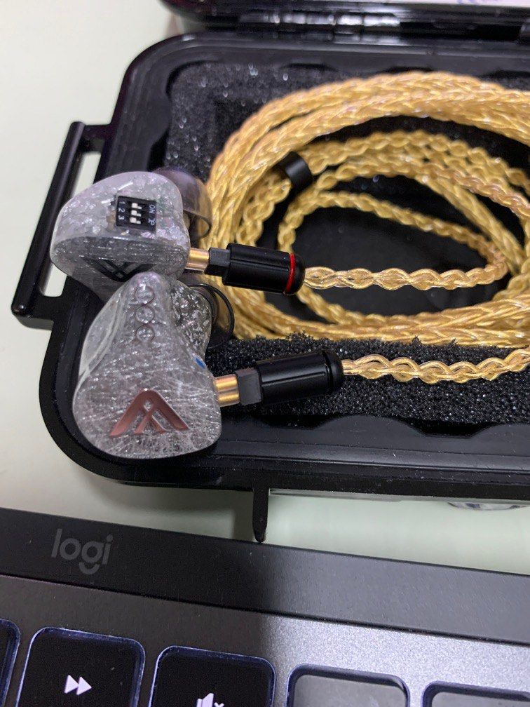 QDC Anole VX IEM, Audio, Earphones on Carousell