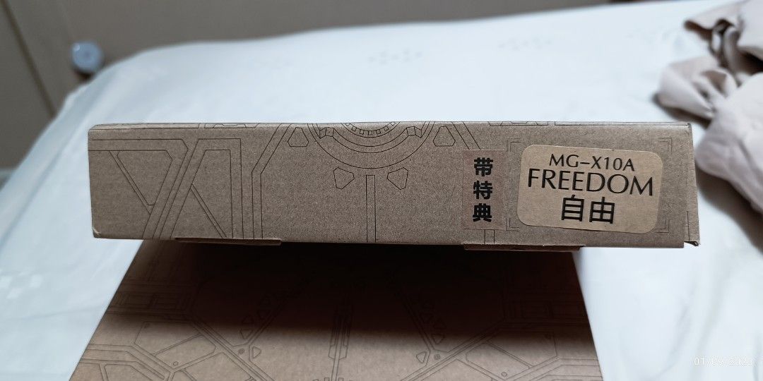 Bandai gunpla MG 1/100 Freedom Gundam ver. 2.0 & Dian Chang metal alloy ...