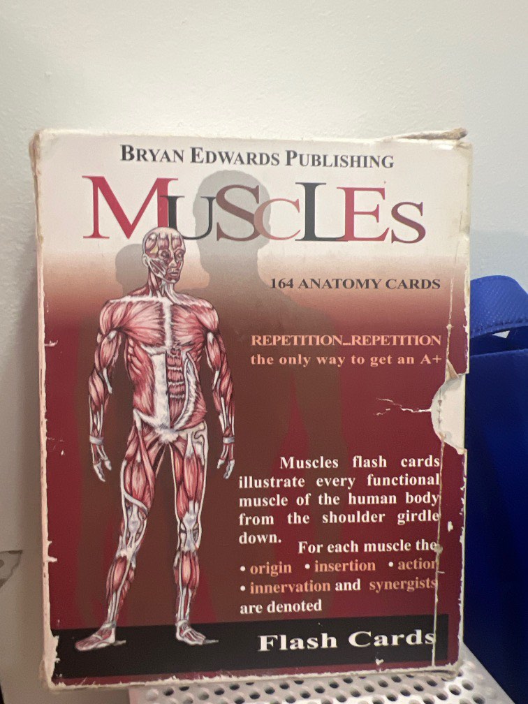 Bryan edwards publishing muscles anatomy cards, Hobbies & Toys, Books ...
