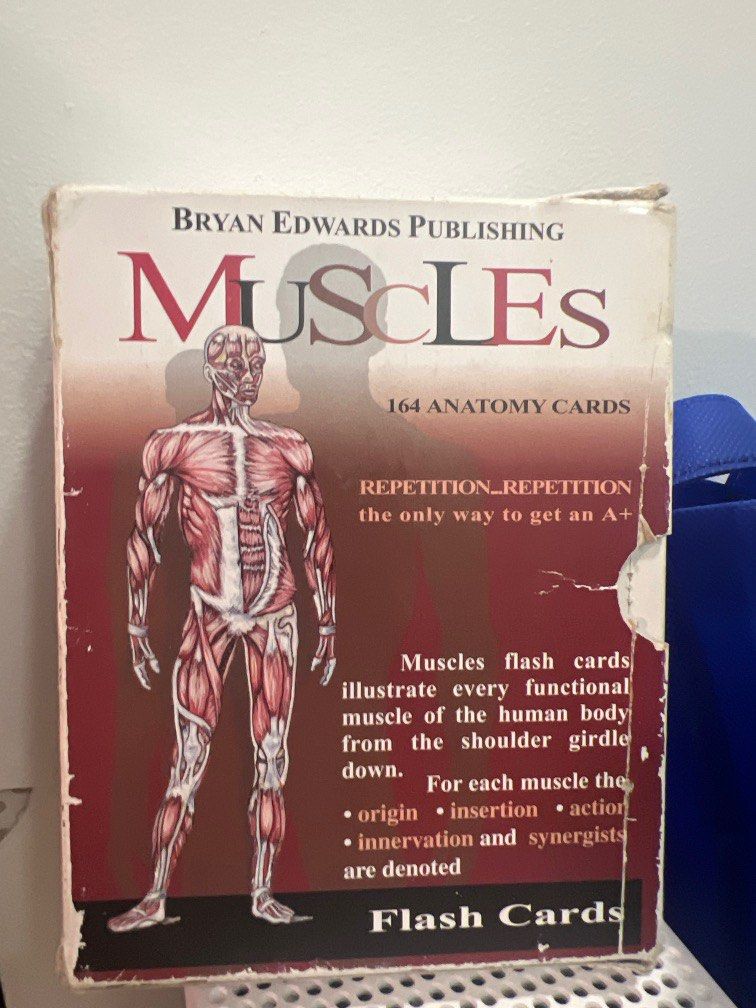 Bryan edwards publishing muscles anatomy cards, Hobbies & Toys, Books ...
