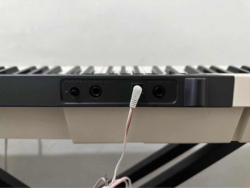 Casio LK-116 Electronic Keyboard 61 Standard Key Optical Navigation Keyboard, Hobbies & Toys ...