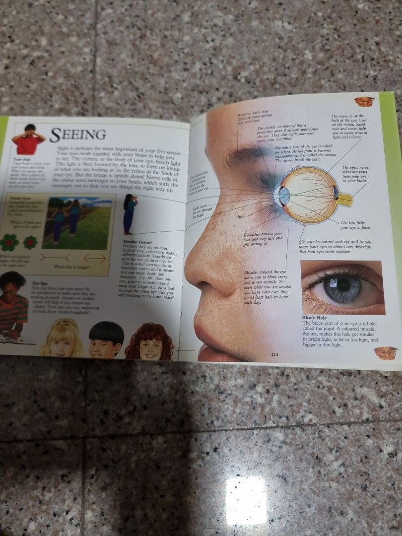 DK Big book knowledge the no 1 first encyclopedia, Hobbies & Toys ...