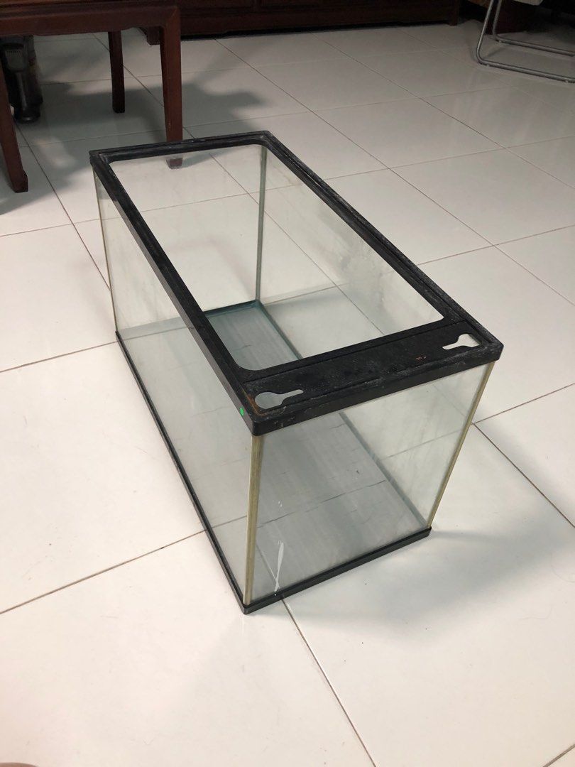 Glass Fish Tank, Pet Supplies, Homes & Other Pet Accessories on Carousell