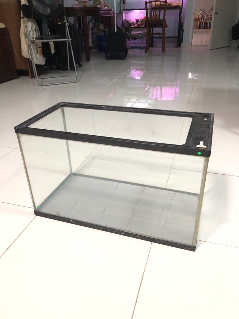 Glass Fish Tank, Pet Supplies, Homes & Other Pet Accessories on Carousell