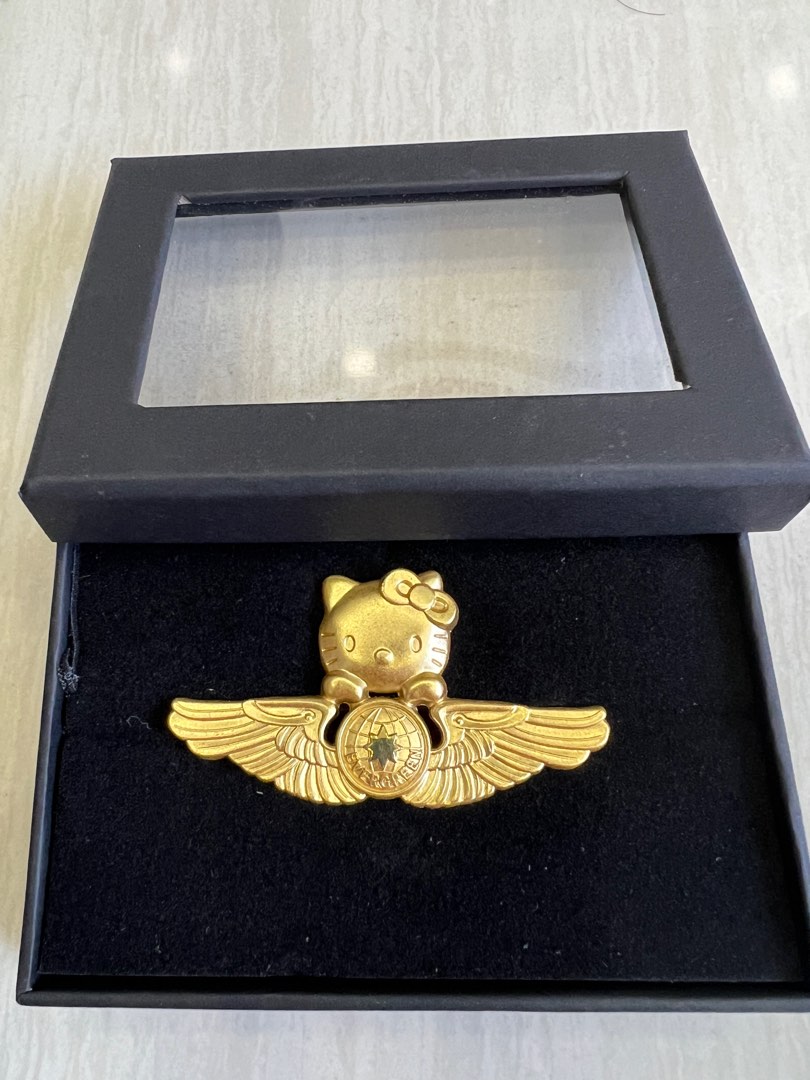 Hello Kitty Aviation Captain Wings, Hobbies & Toys, Travel, Travel ...