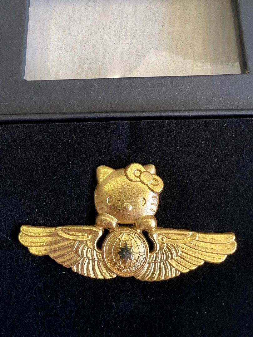 Hello Kitty Aviation Captain Wings, Hobbies & Toys, Travel, Travel ...
