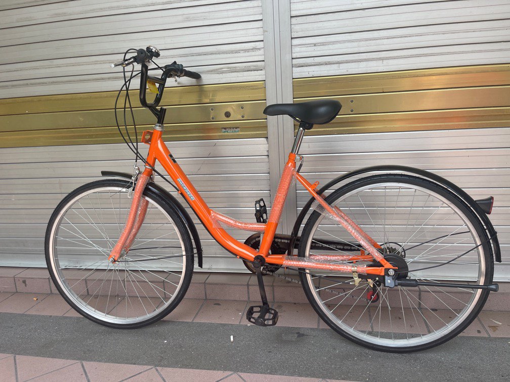 lady bicycle, Sports Equipment, Bicycles & Parts, Bicycles on Carousell