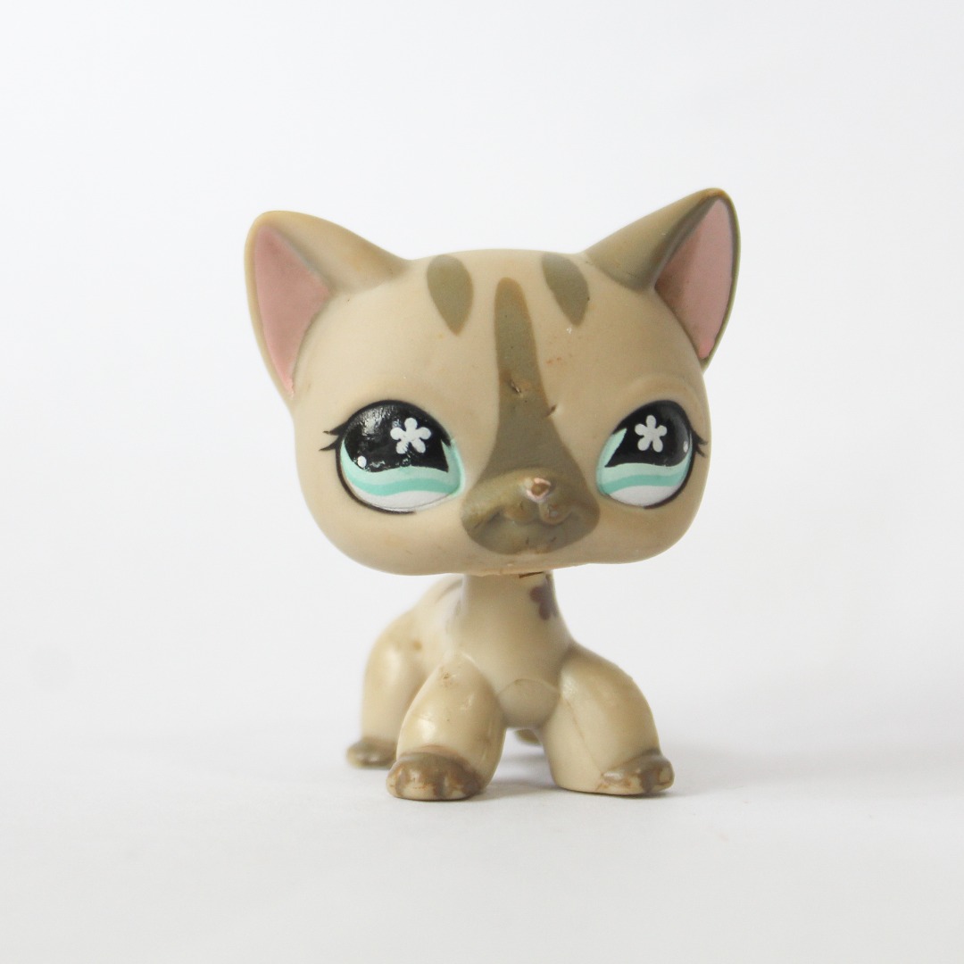 LPS Littlest Pet Shop RARE #468 Grey Shorthair Cat Hasbro on Carousell