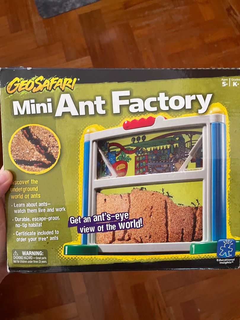 Mini ant factory, Hobbies & Toys, Toys & Games on Carousell