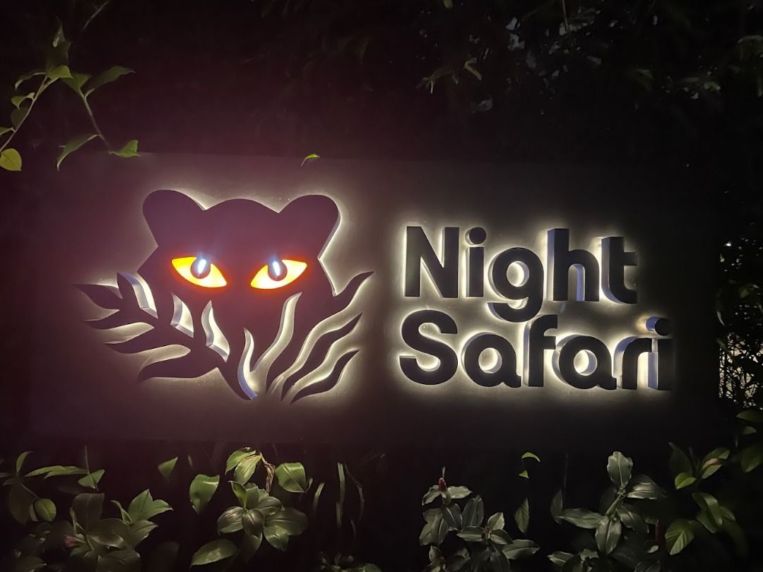 Night Safari $35 | Singapore Flyer Tickets | Marina Bay Sands SkyPark ...