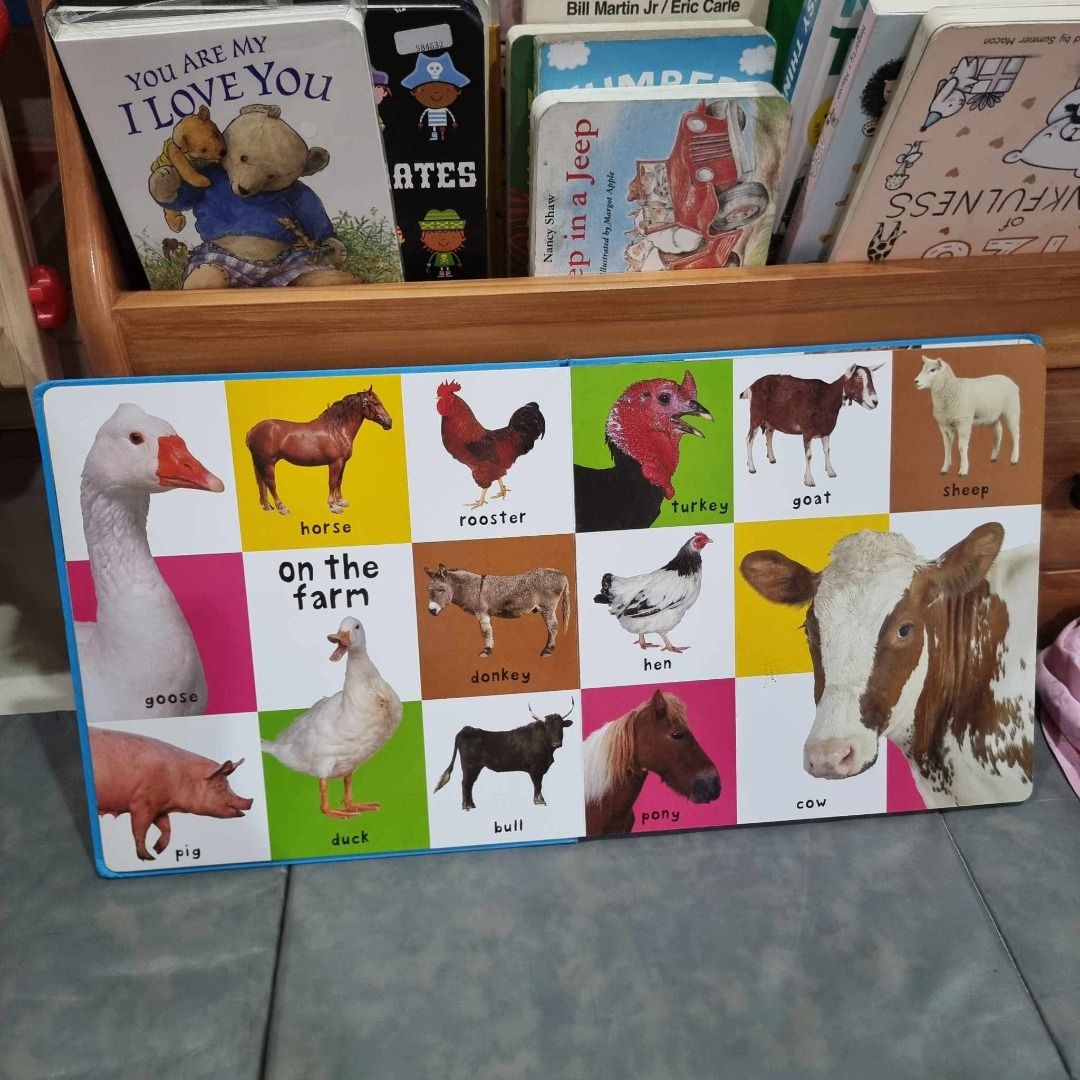 Priddy First 100 Animals (realistic pictures) Extra Large book | Like ...