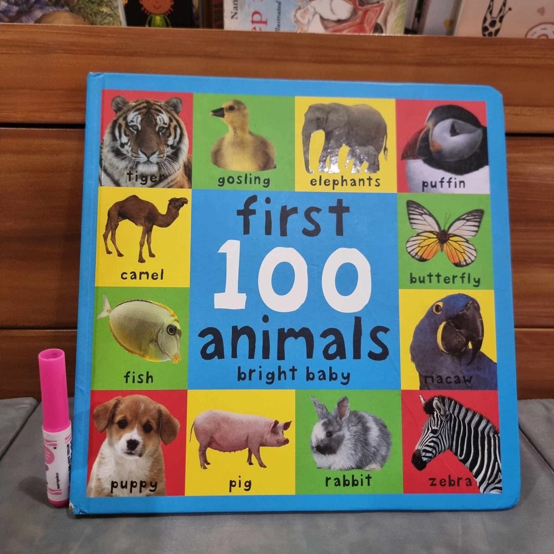 Priddy First 100 Animals (realistic pictures) Extra Large book | Like ...
