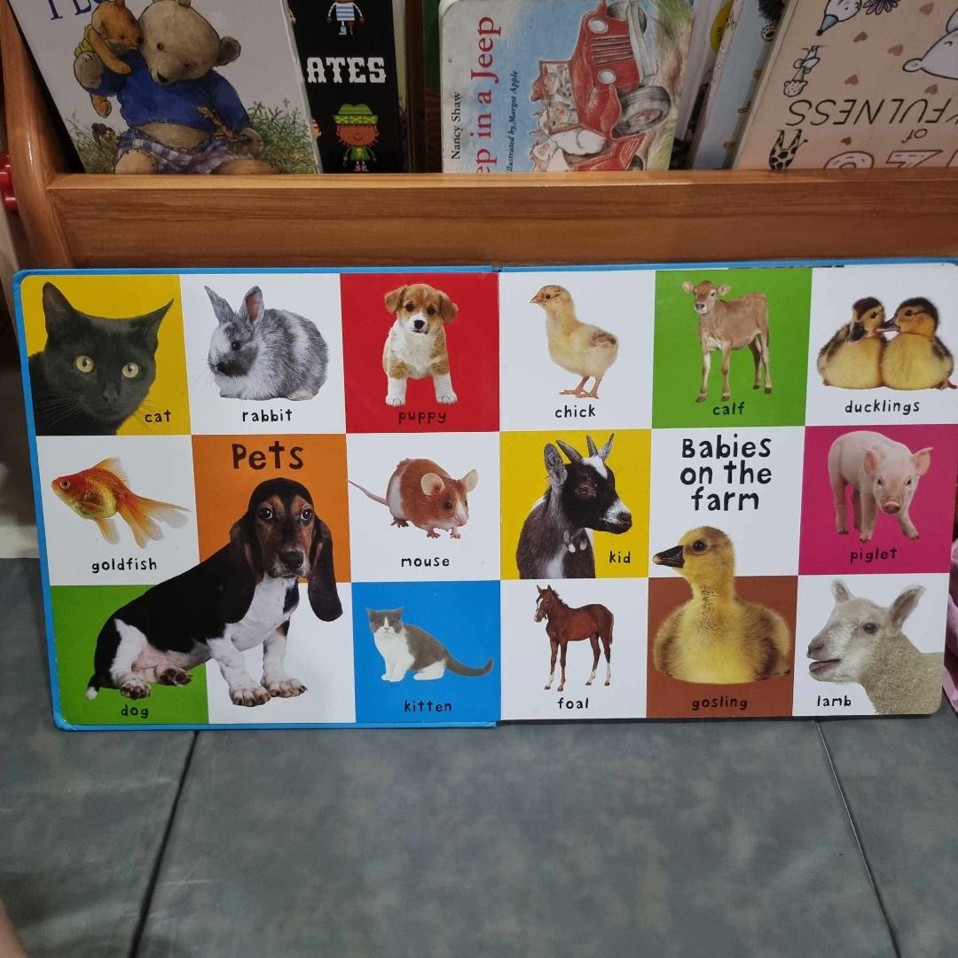 Priddy First 100 Animals (realistic pictures) Extra Large book | Like ...