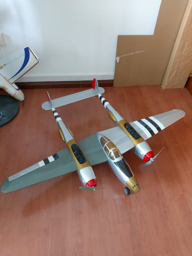Radio Controlled flying wing RC plane, Hobbies & Toys, Toys & Games on ...
