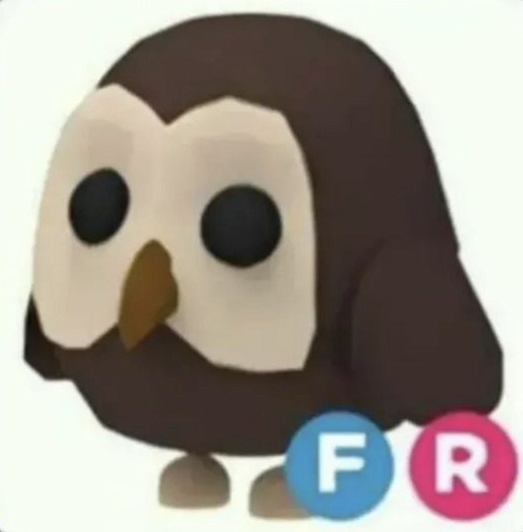 Roblox Adopt me Owl, 電子遊戲, 電子遊戲, 其他 - Carousell