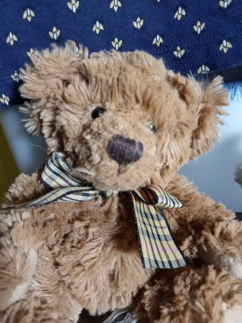 Teddy Bear bundle of 2, Hobbies & Toys, Toys & Games on Carousell