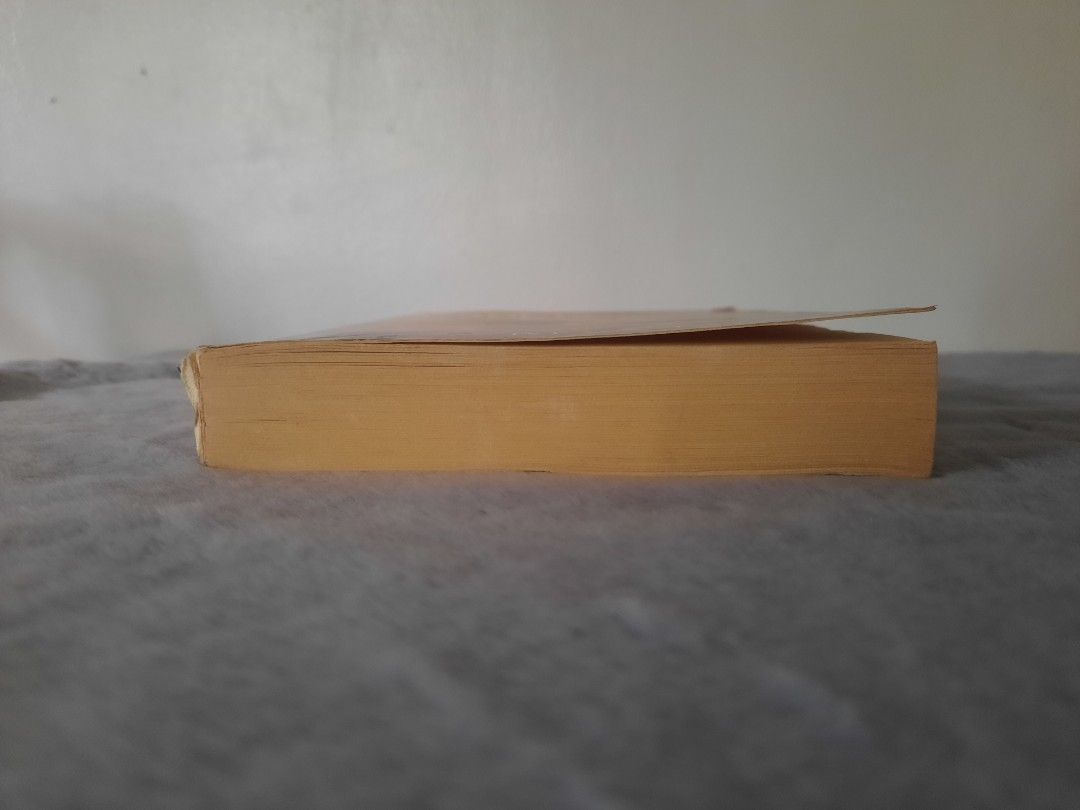 The Rabbi's Daughter by Reva Mann on Carousell