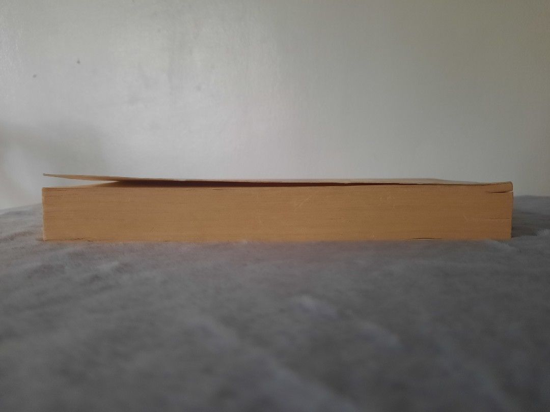 The Rabbi's Daughter by Reva Mann on Carousell