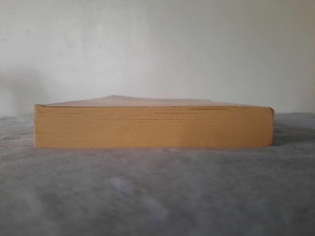 The Rabbi's Daughter by Reva Mann on Carousell