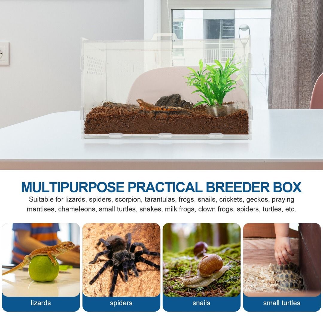 Transparent Terrarium Turtle Cages Habitats Frog Tank Acrylic Enclosure ...